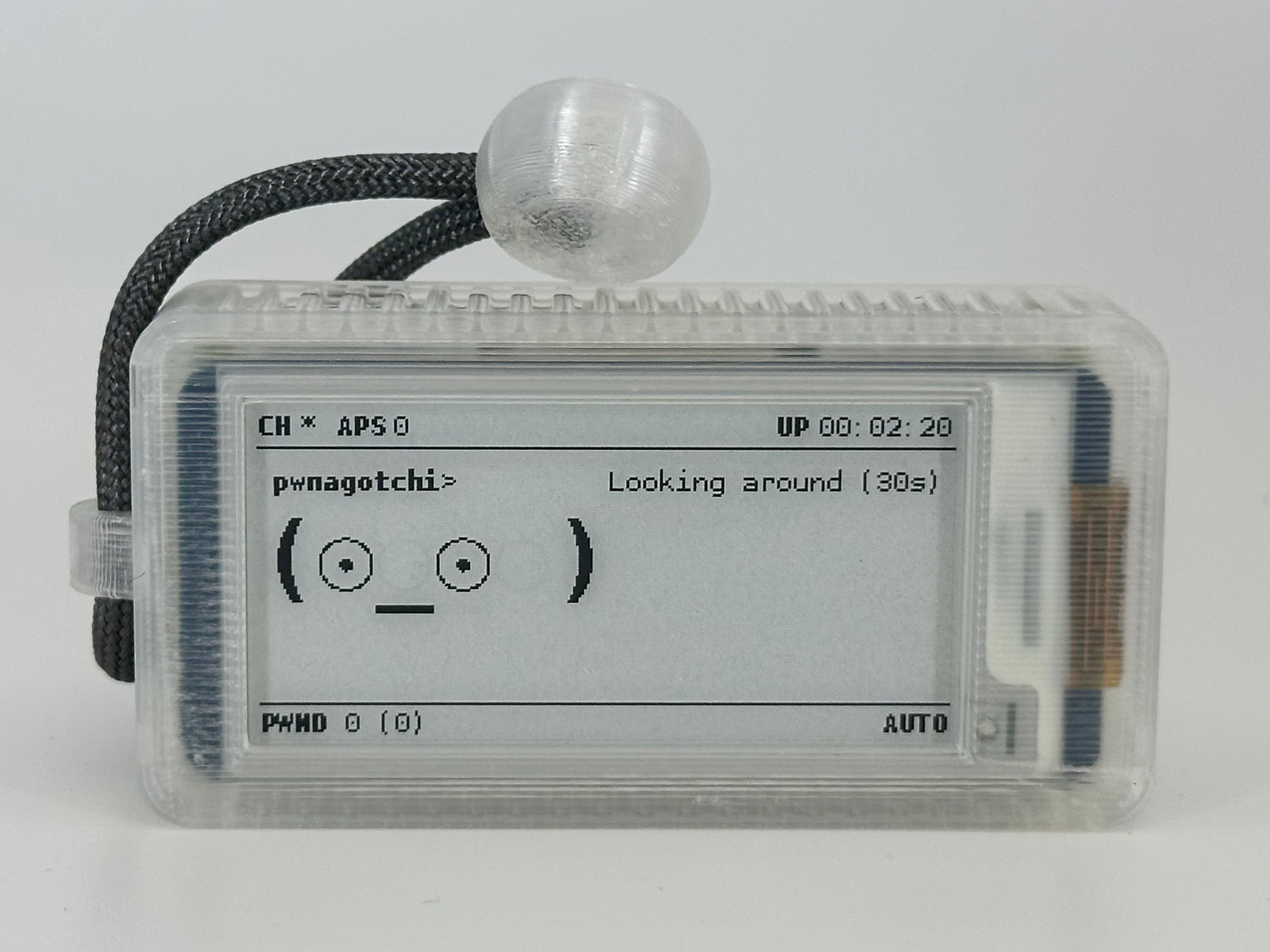 pwnagotchi