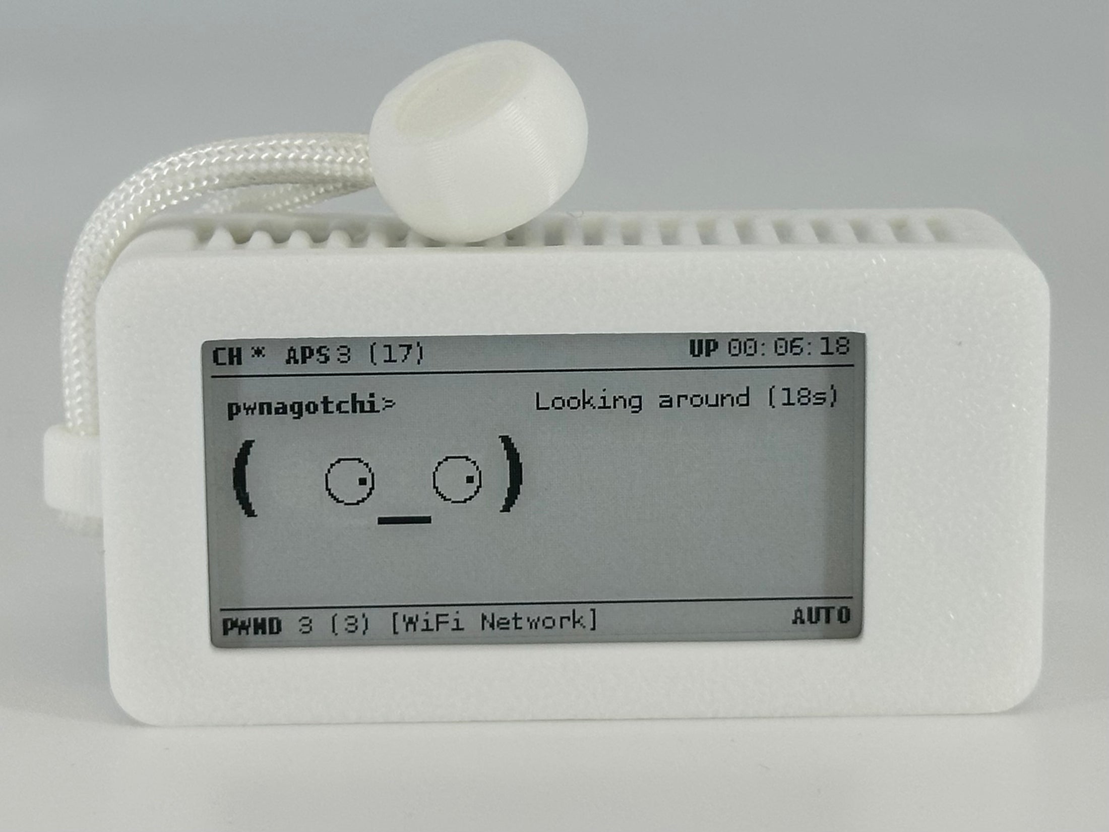 pwnagotchi