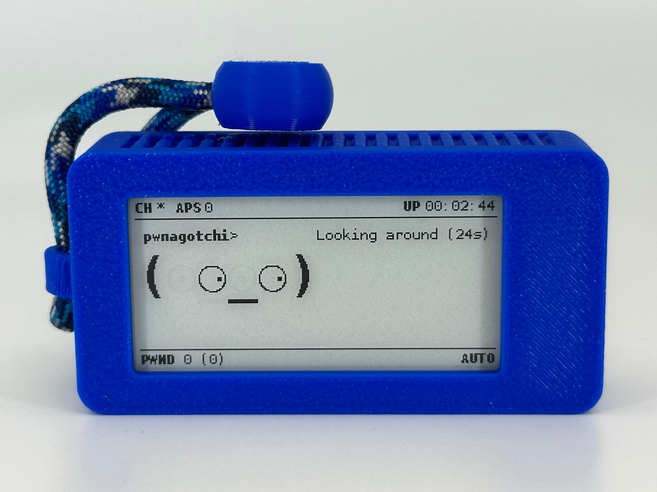pwnagotchi